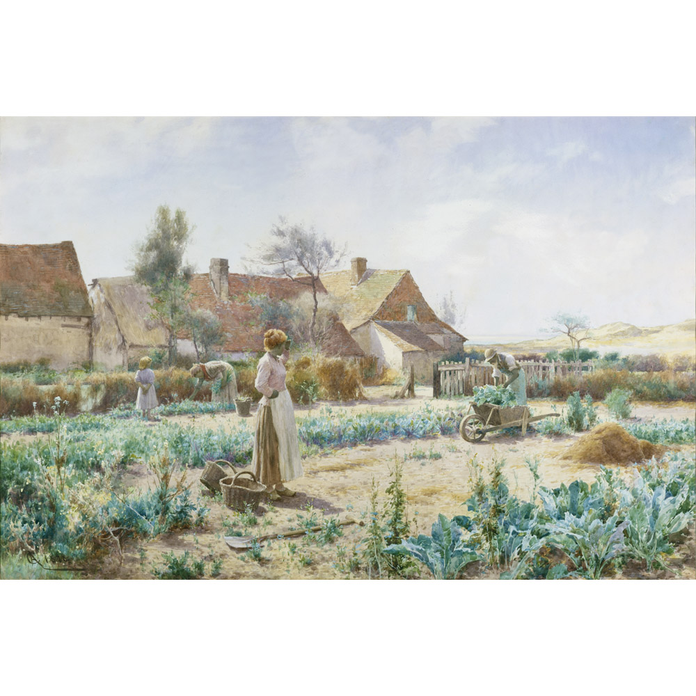 A Sunny Morning, an Old Garden at Dannes by A A Glendening