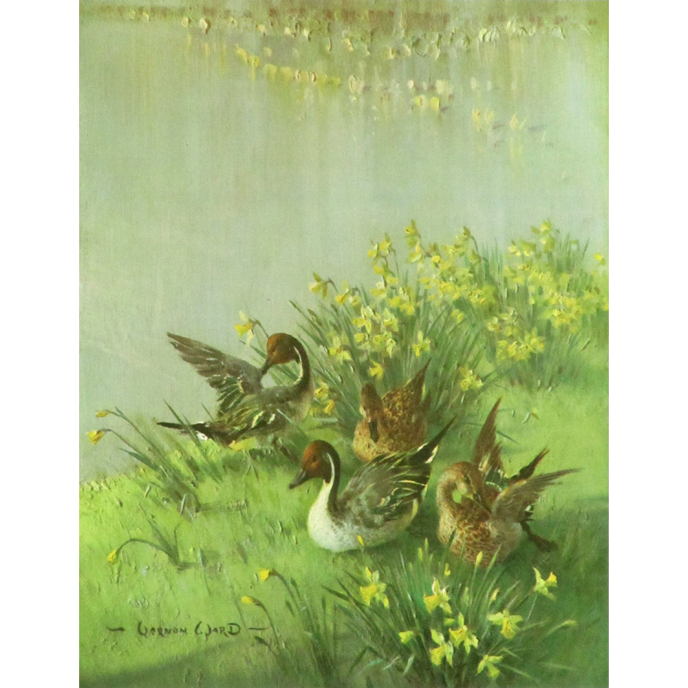Pintails among Daffodils by Vernon Ward