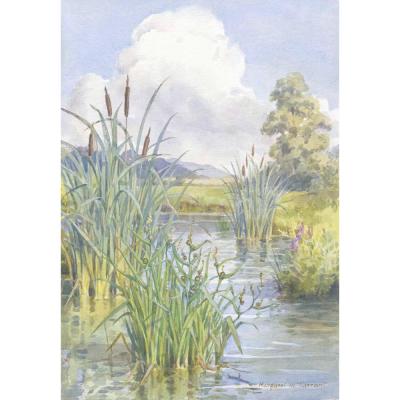 Bulrush and Bur-reed by Margaret Winifred Tarrant